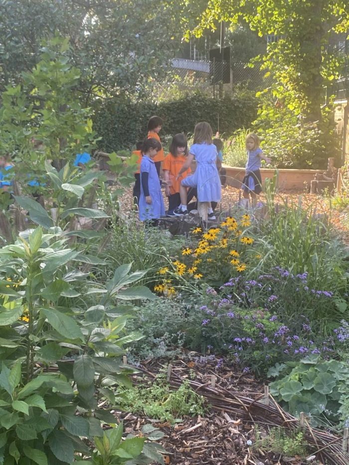 Canonbury Primary School | Canonbury Picnic